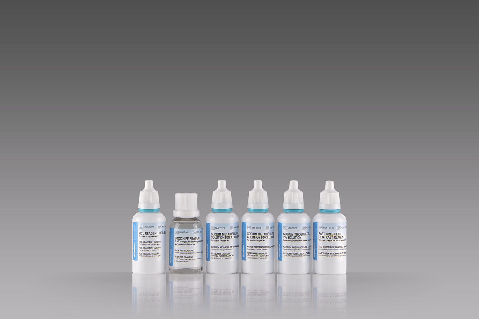 Feulgen kit - Biognost