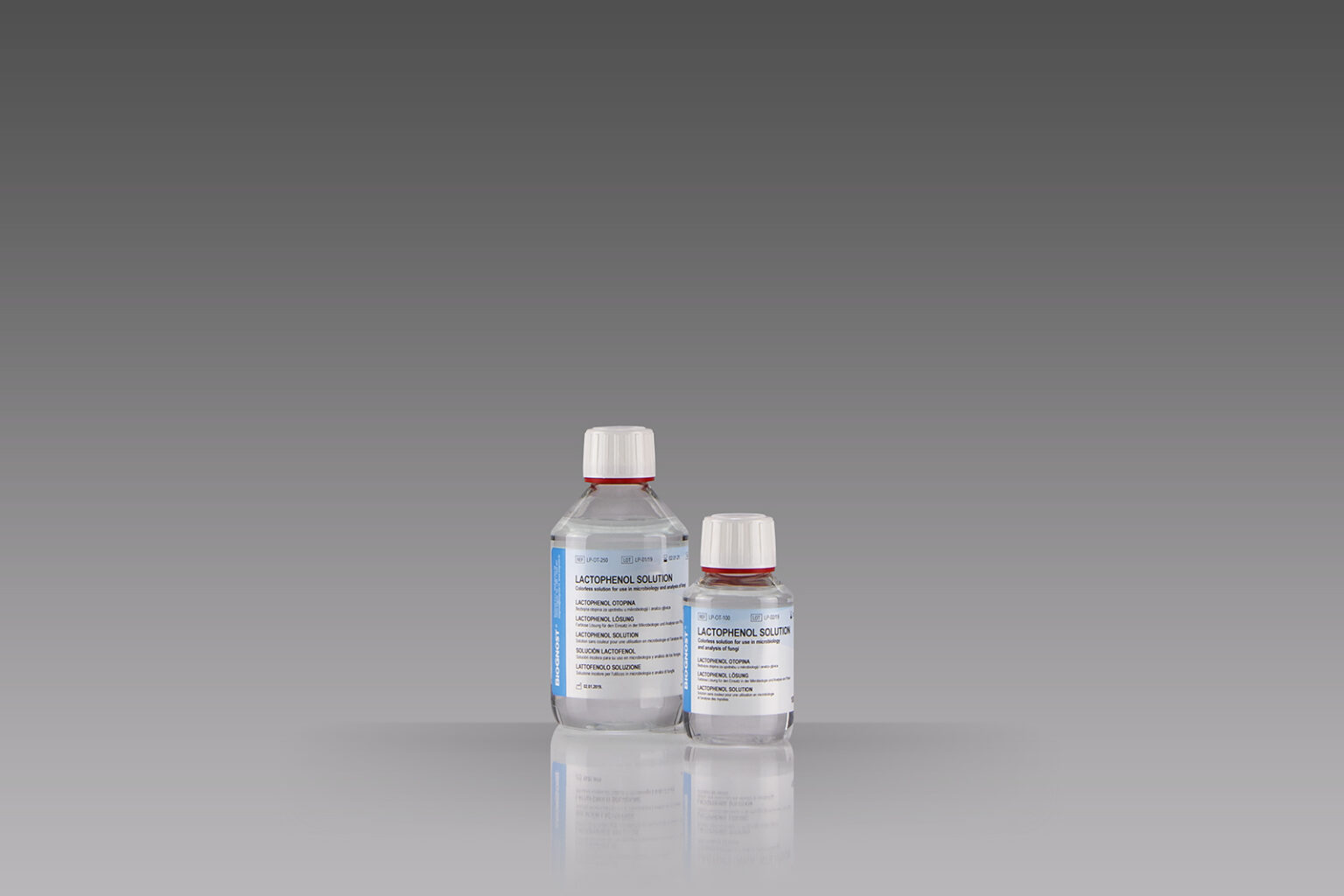 Lactophenol solution - Biognost
