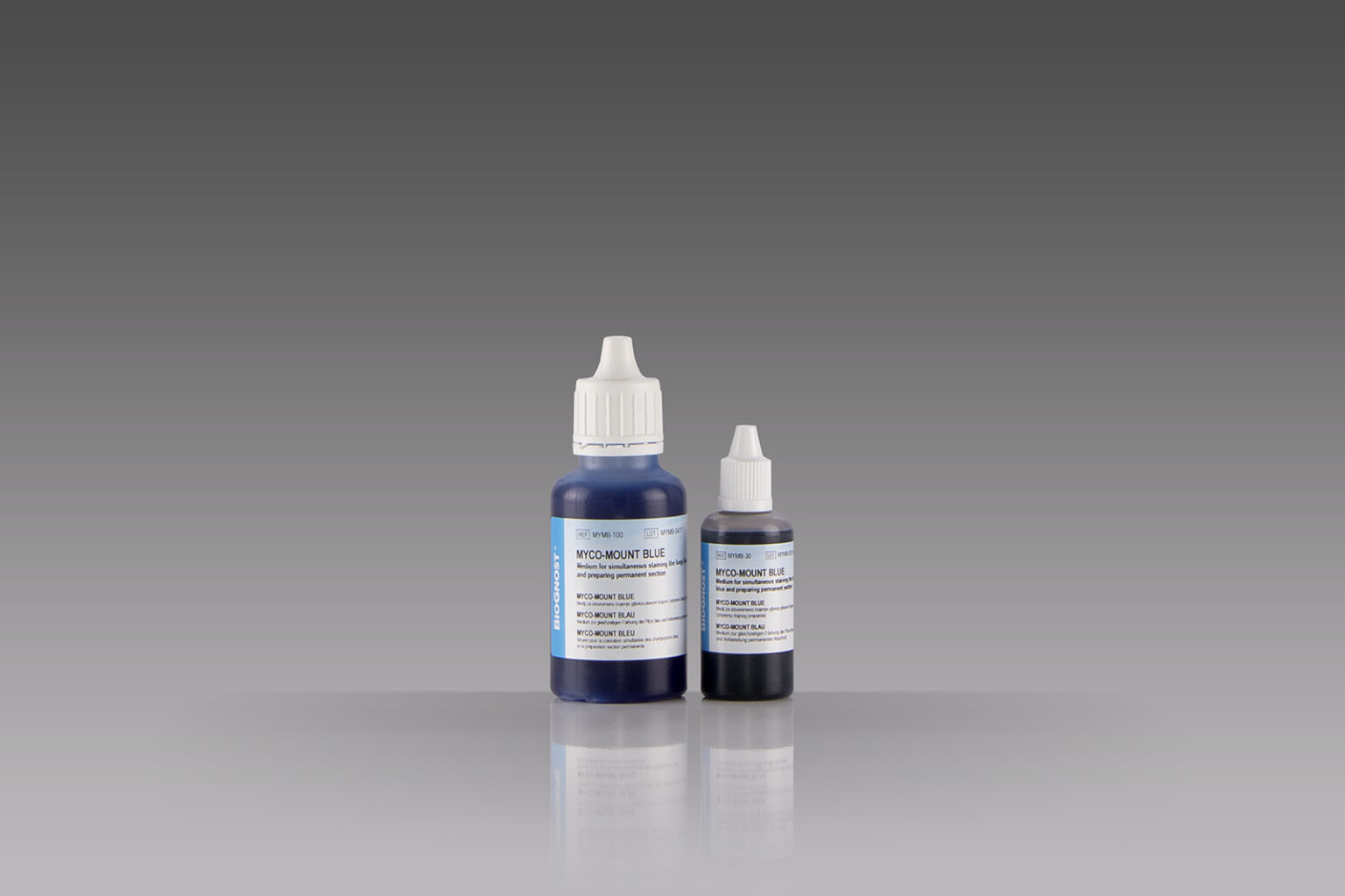 Myco-Mount Blue - Biognost