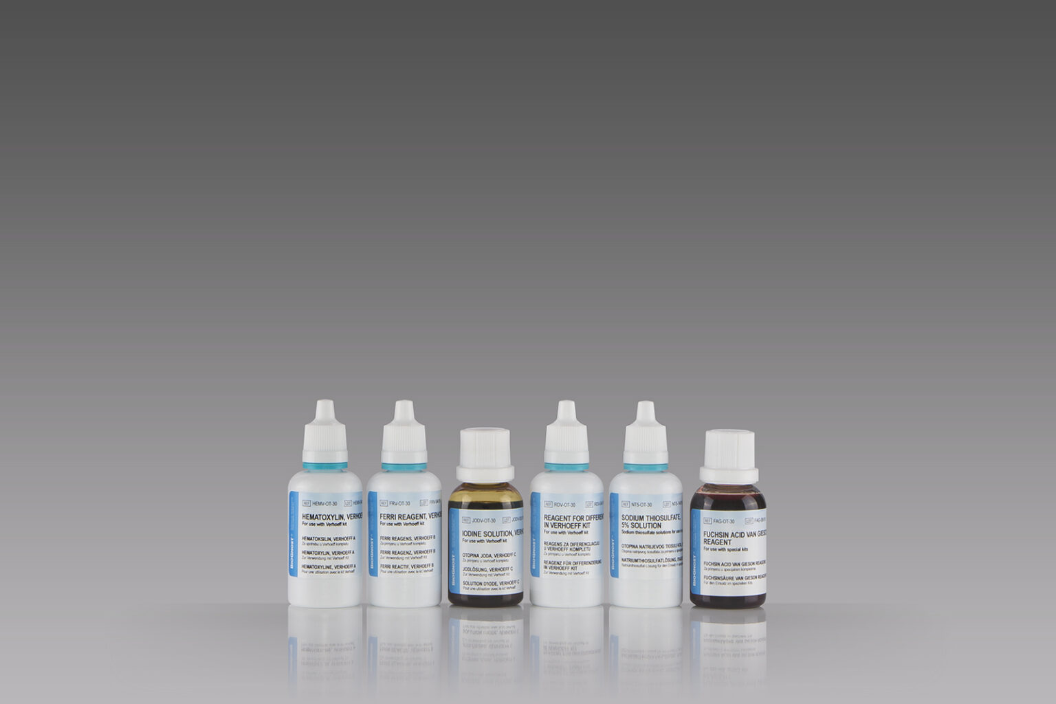 Verhoeff kit - Biognost