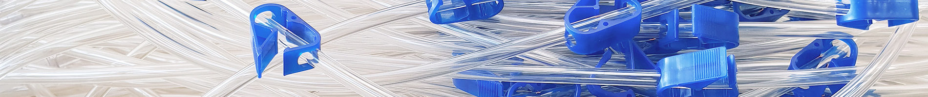 Staining Result - Biognost