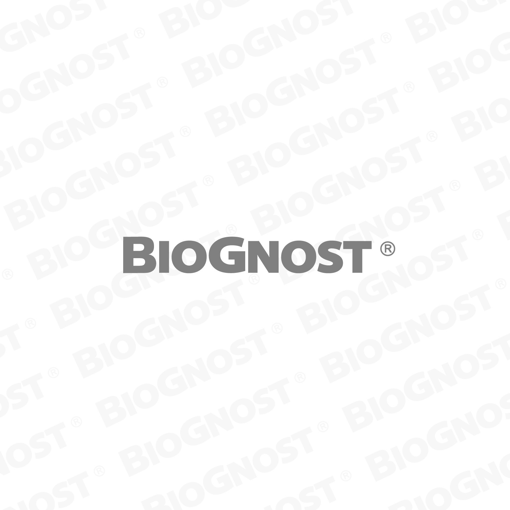 Histology and cytology Archives - Biognost